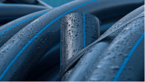 Compagnie Commerciale et Industrielle du Sénégal CCIS